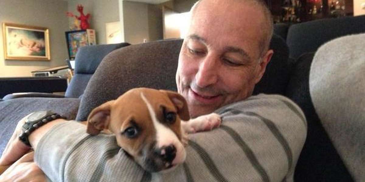 Animal Hero And 'Simpsons' Co-Creator Sam Simon Dies - The Dodo