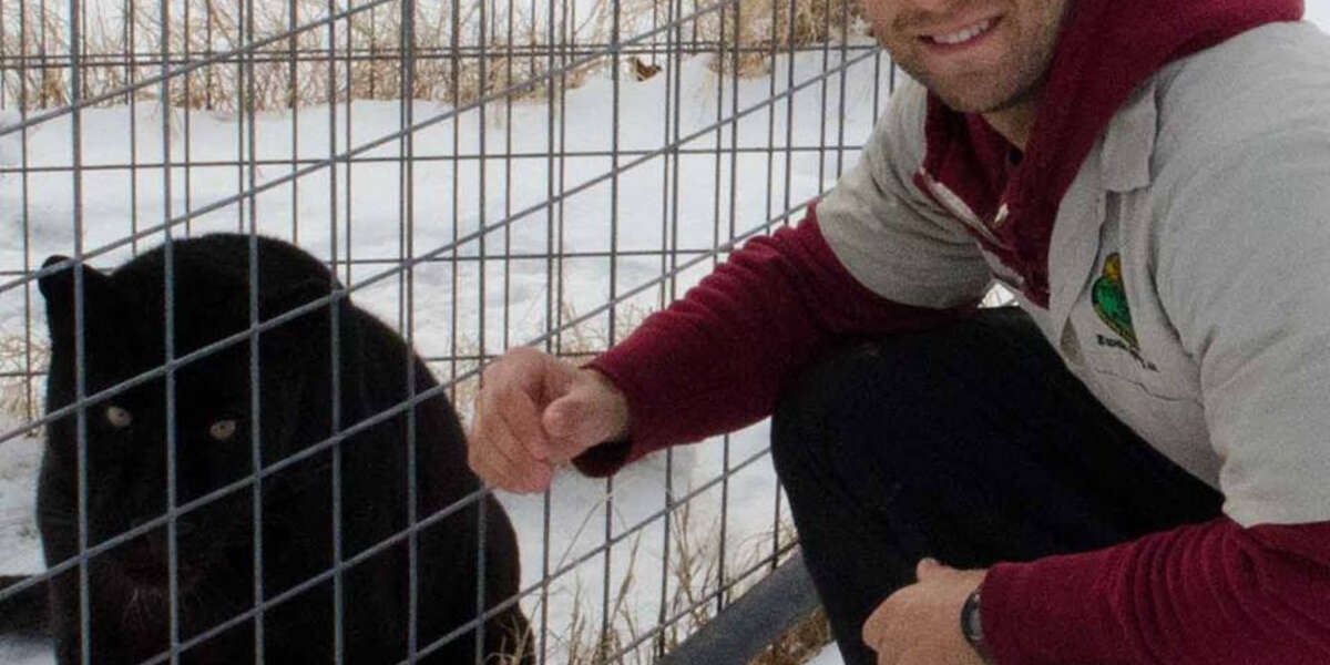 David Enden - The Dodo