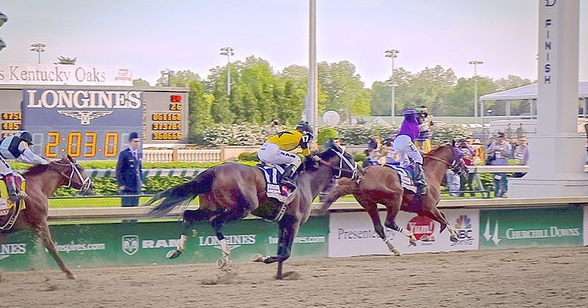 For The Horses, Everything Isn't Juleps And Roses At The Derby - The Dodo