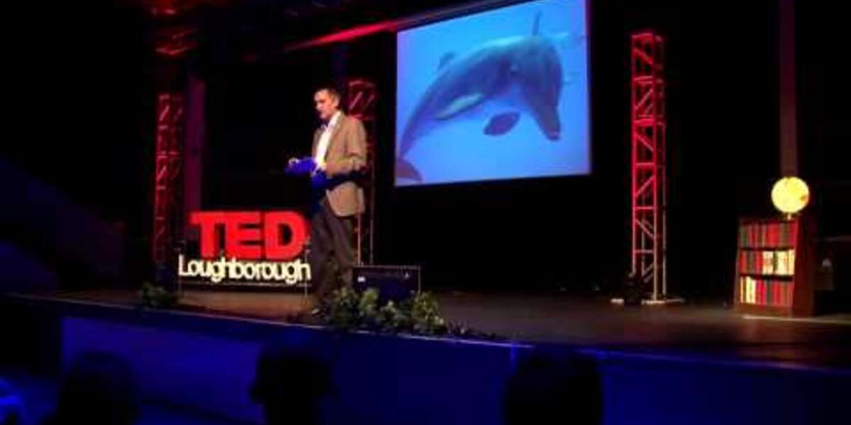 MT @WHALES_org: #Rights for #whales #blackfish #dolphins, necessity ...