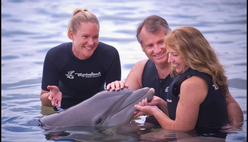 World's Oldest Captive Dolphin Dies After 61 Years In A Tank - The Dodo