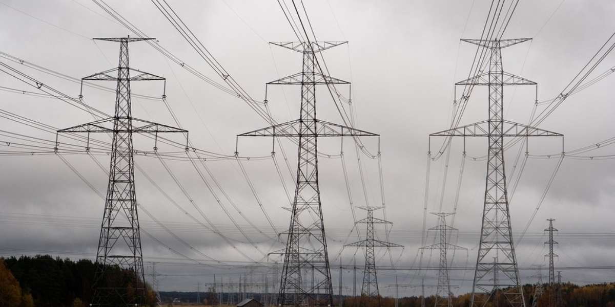 Wildlife Worldwide Impacted by the "Flashing" of Power Lines - The Dodo