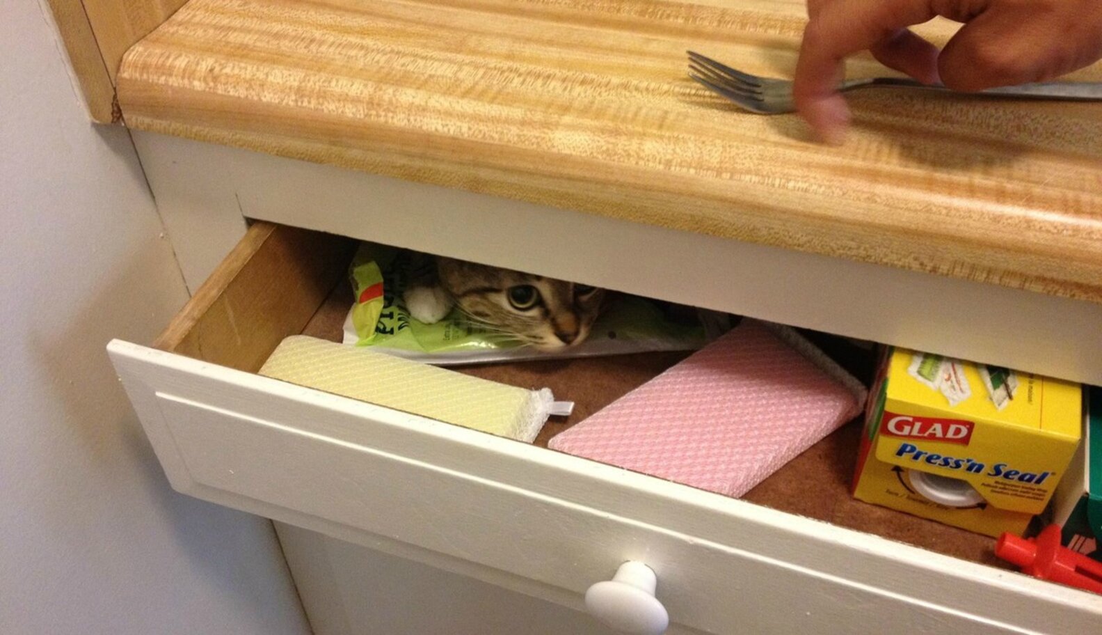 14 Cats Who Found The Perfect Drawer - The Dodo