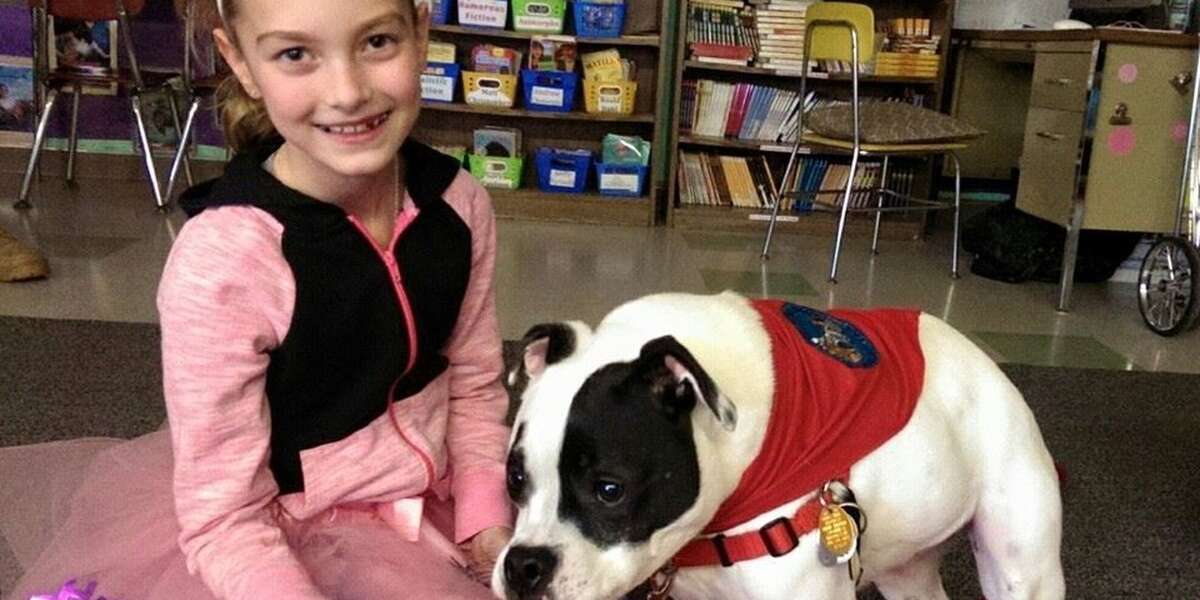 How My Growling Pit Bull Became A Therapy Dog - The Dodo