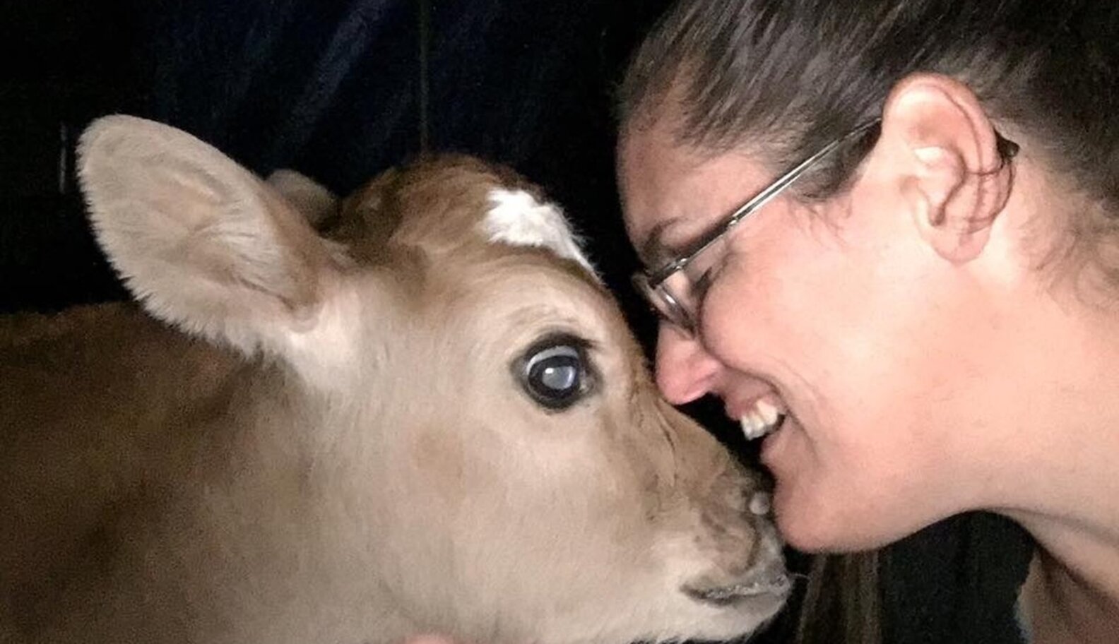 Woman Makes A Promise To Calves She Rescued From A Medical Lab - The Dodo