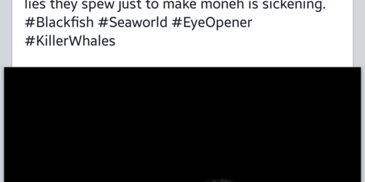 #Blackfish #seaworld #sad #KillerWhales http://t.co/eDHUcDU28Q - The Dodo