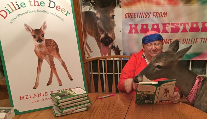 How My Pet Deer Saved My Life - The Dodo