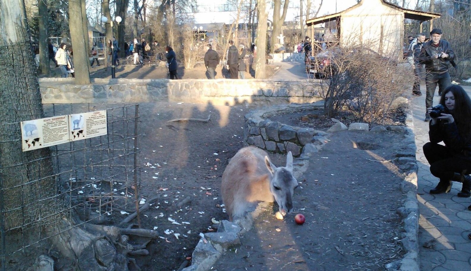 Starving Ukrainian Zoo Animals Saved By Donations From Locals - The Dodo