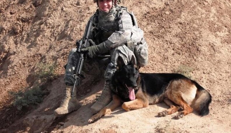 Retired Military Dog Adopted By Air Force Handler - The Dodo