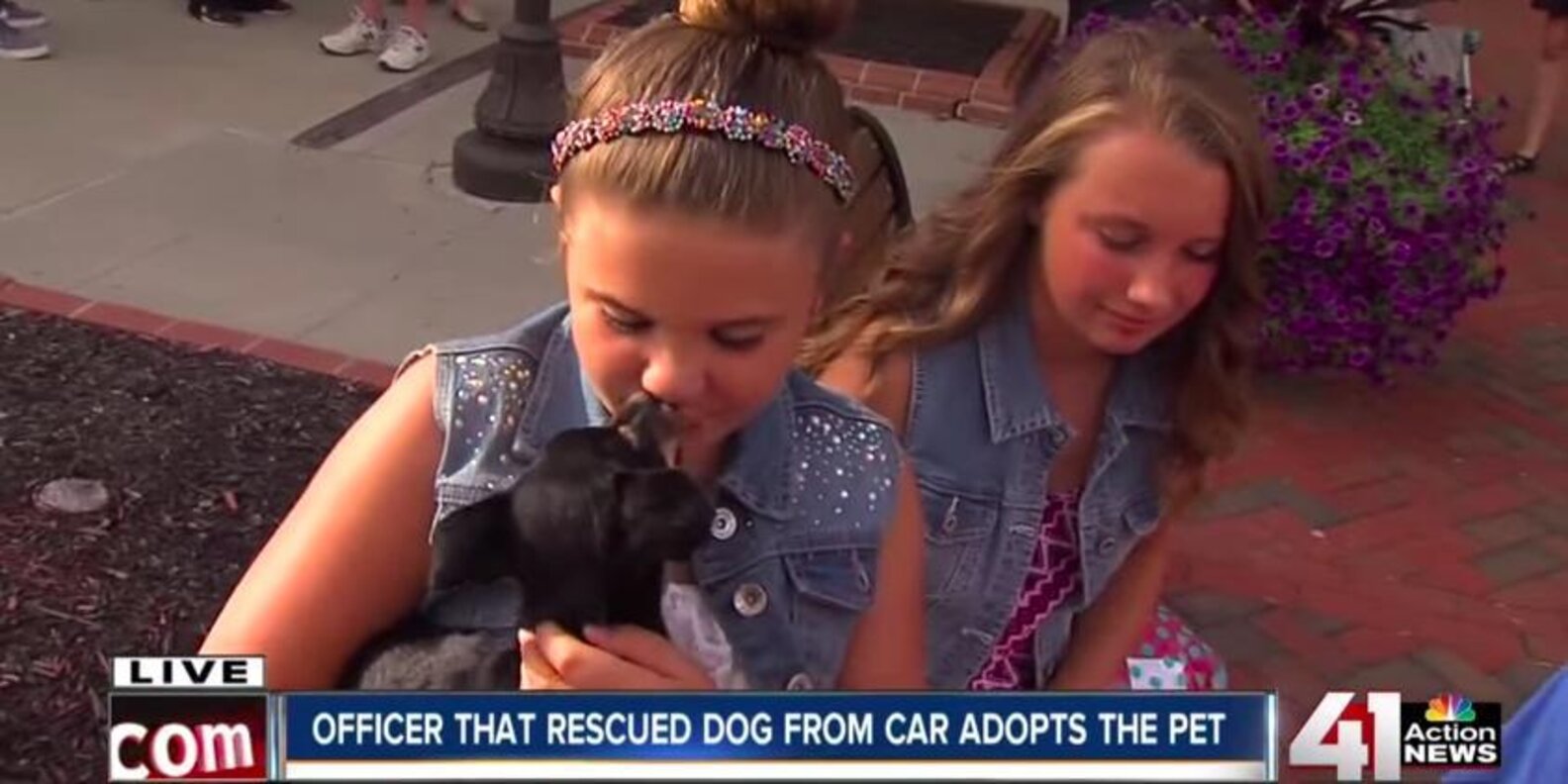 Puppy Left To Die In 140 Degree Car Goes Home With His Rescuer - The Dodo