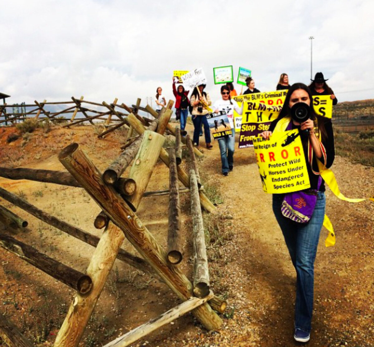 Protesters Target Rock Springs BLM Wild Horse Roundups - The Dodo