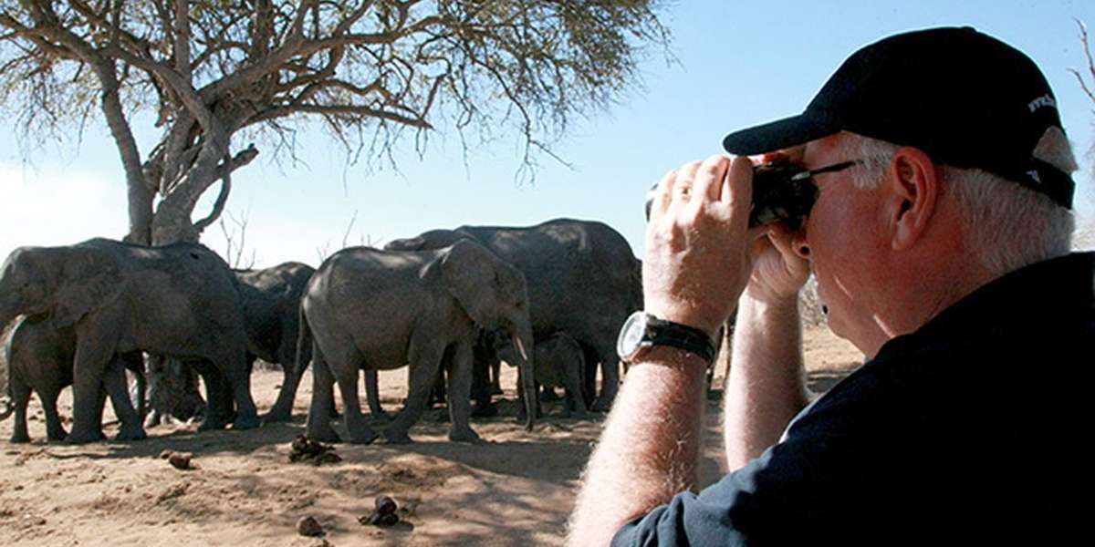 The Fight Against Poachers Has Been Taken To A New Level - The Dodo