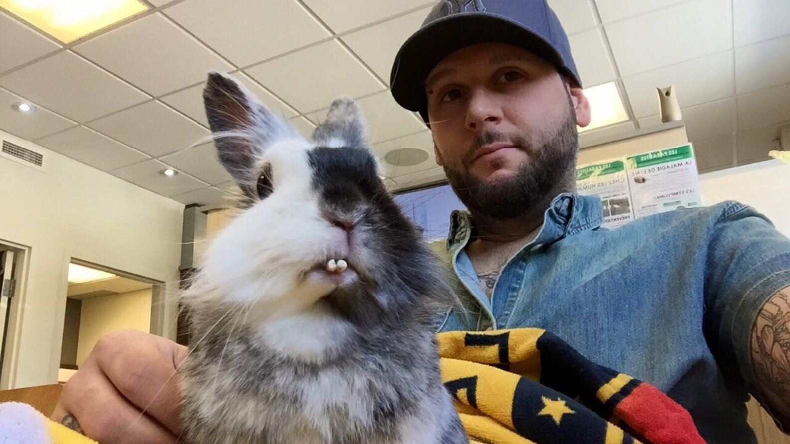 Bunny Saved From Bad Farm Loves To Snuggle With Dad Now - The Dodo