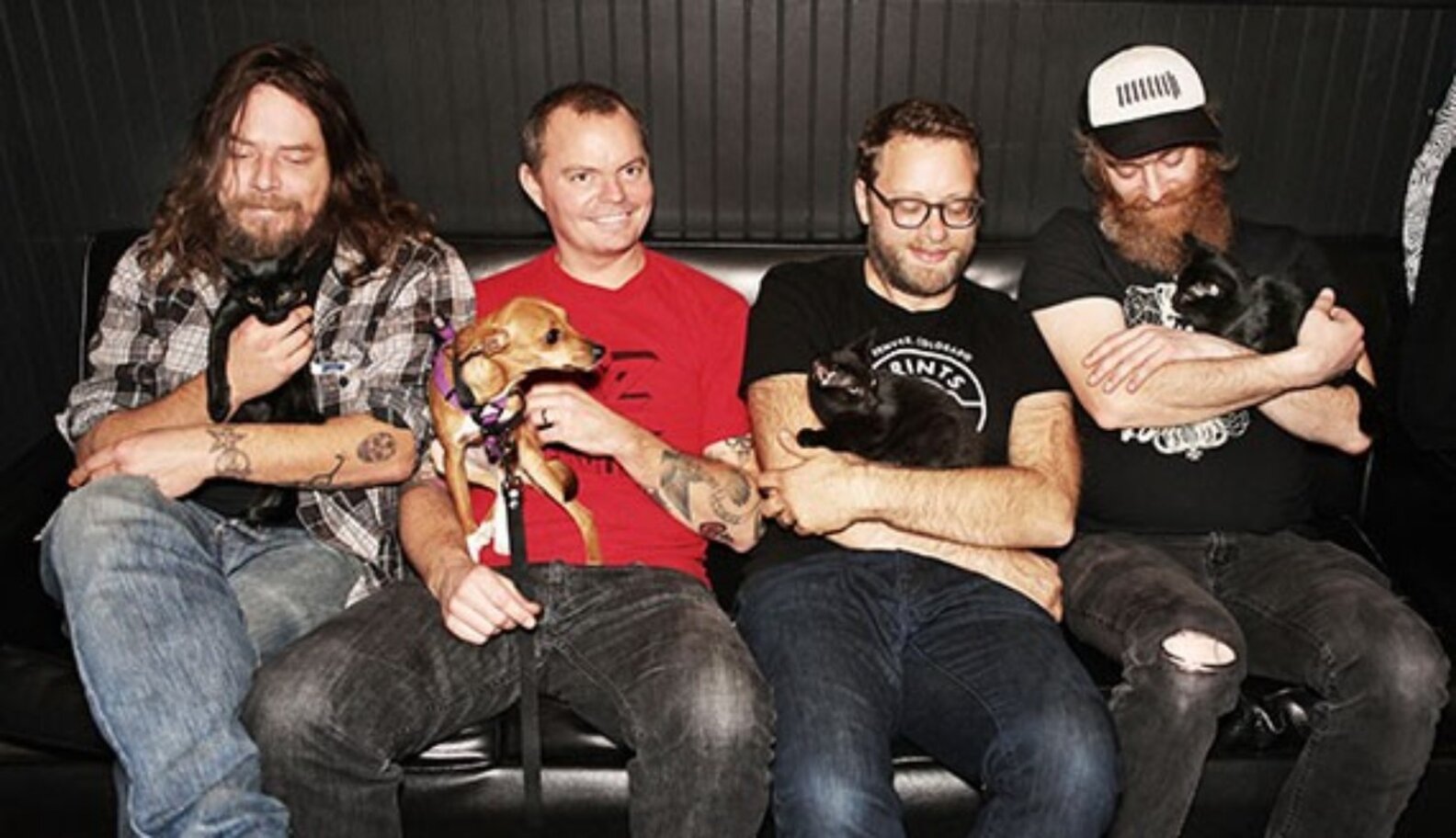 Musicians Pose With Needy Pets To Help Them Find A Home - The Dodo