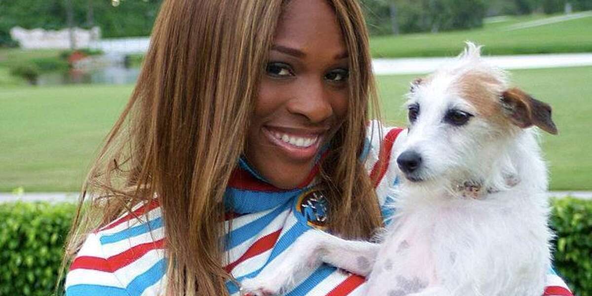 Serena Williams Pens Heartfelt Goodbye To Her 'Angel' - The Dodo