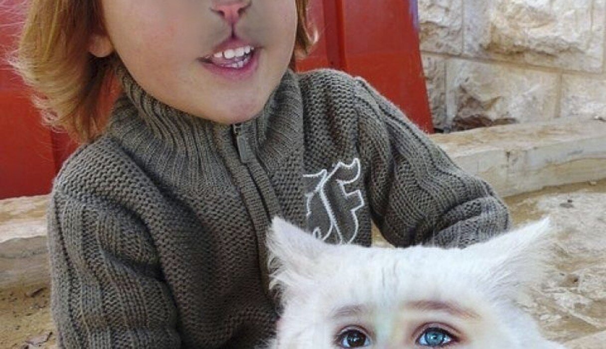 14 Animal/Human Face Swaps You Can't Unsee - The Dodo