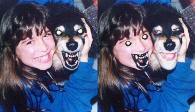 14 Animal/Human Face Swaps You Can't Unsee - The Dodo