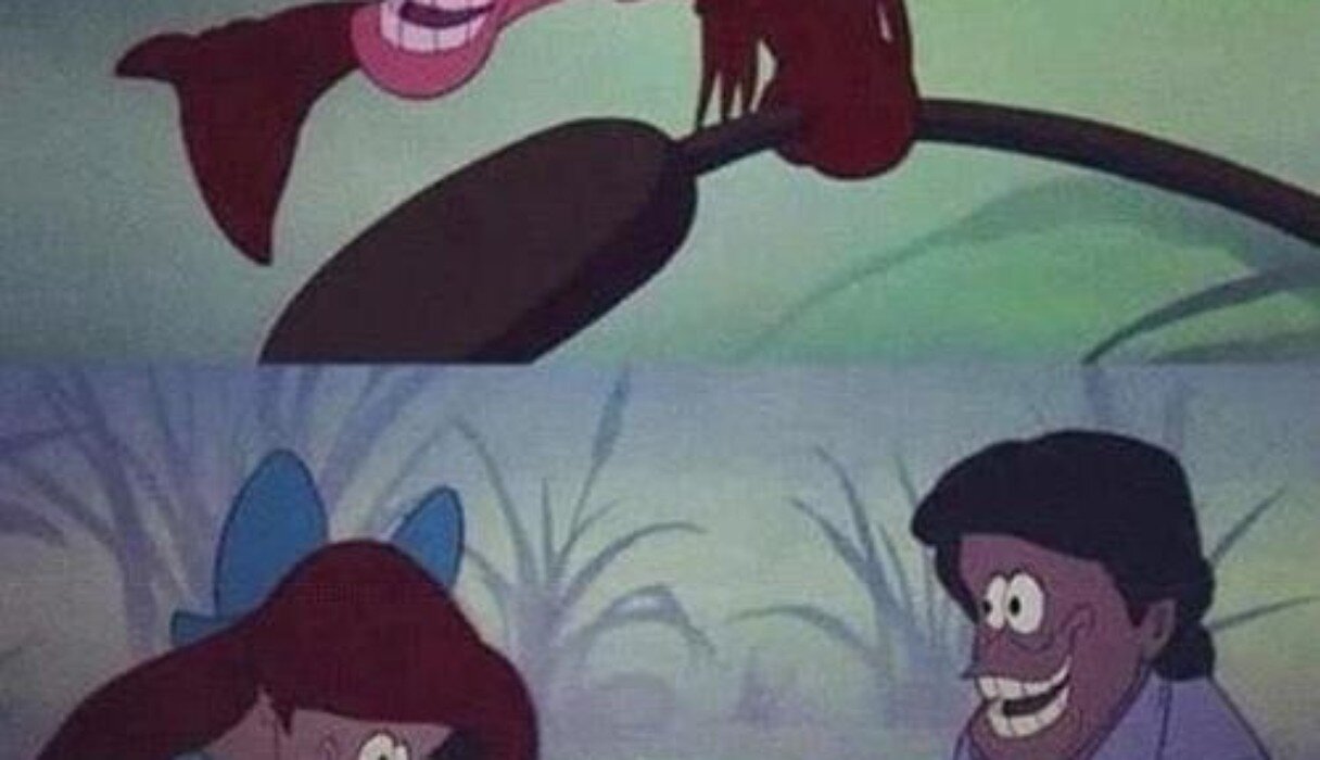 14 Animal/Human Face Swaps You Can't Unsee - The Dodo