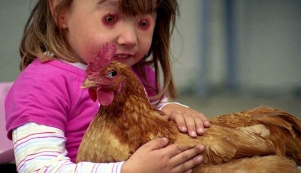 14 Animal/Human Face Swaps You Can't Unsee - The Dodo