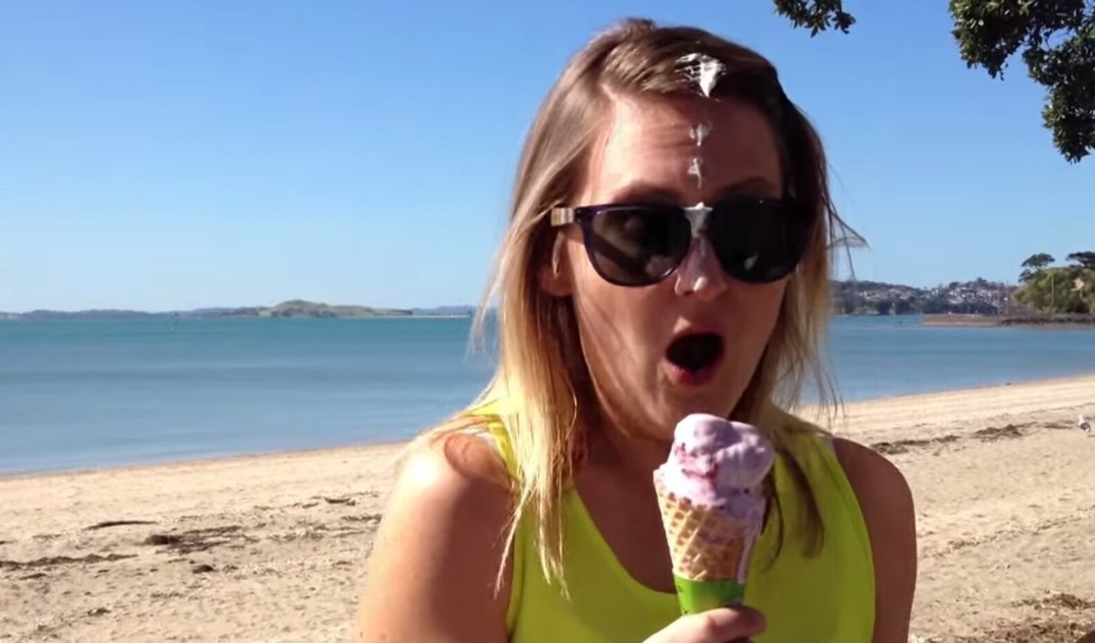 Bird Poop Experts Cast Doubt On Realness Of Viral 'Bird Poop' Video ...
