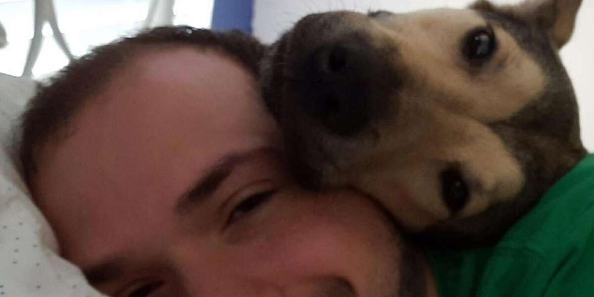 Man Explains What It's Really Like To Adopt A Dog - The Dodo