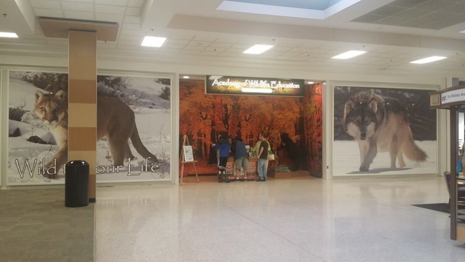 Bright Future Awaits Animals Rescued From Horrible Zoo Inside An Iowa ...