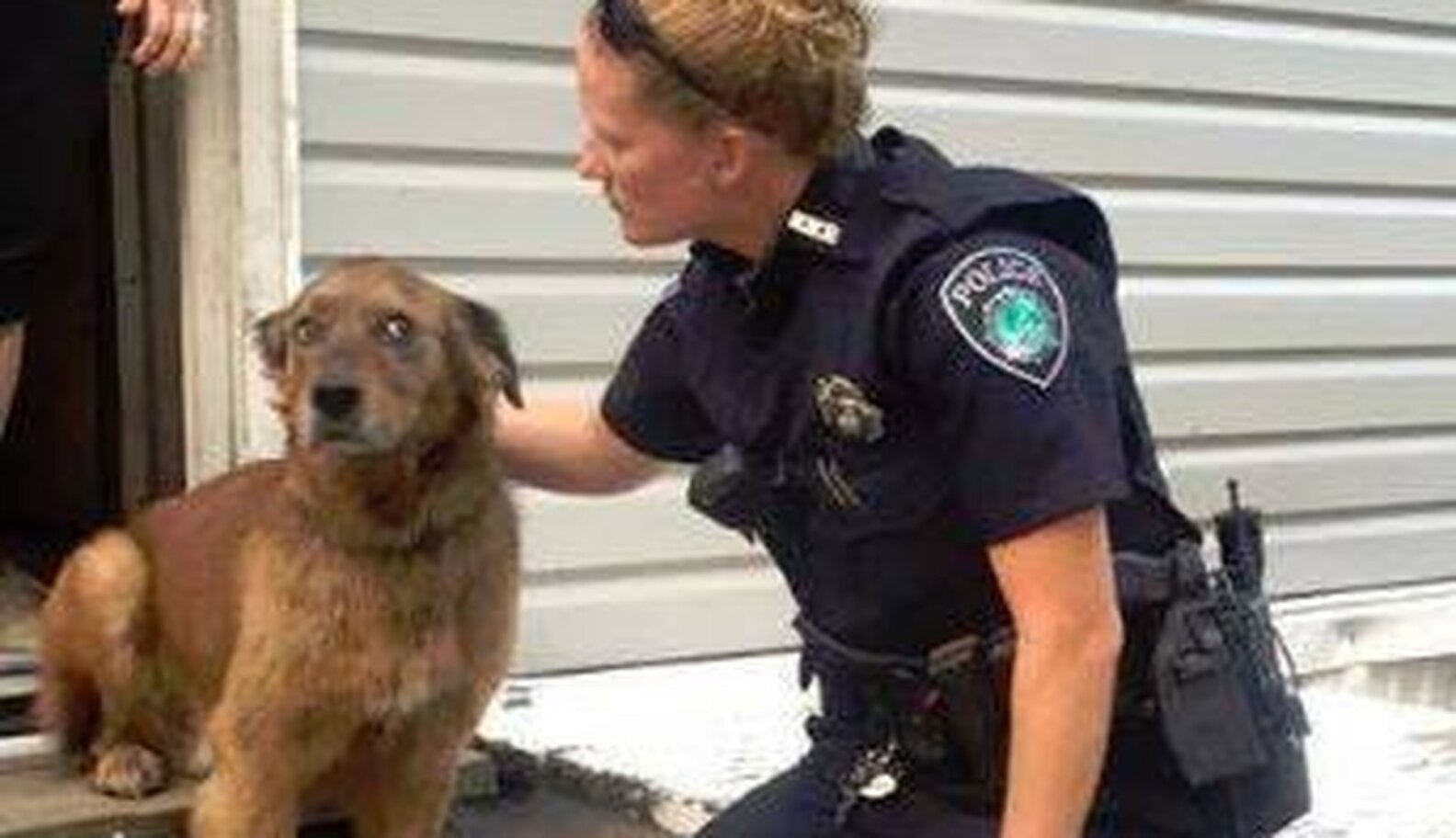 Police Officer Responds To A Call, Winds Up Rescuing A Dog Instead ...