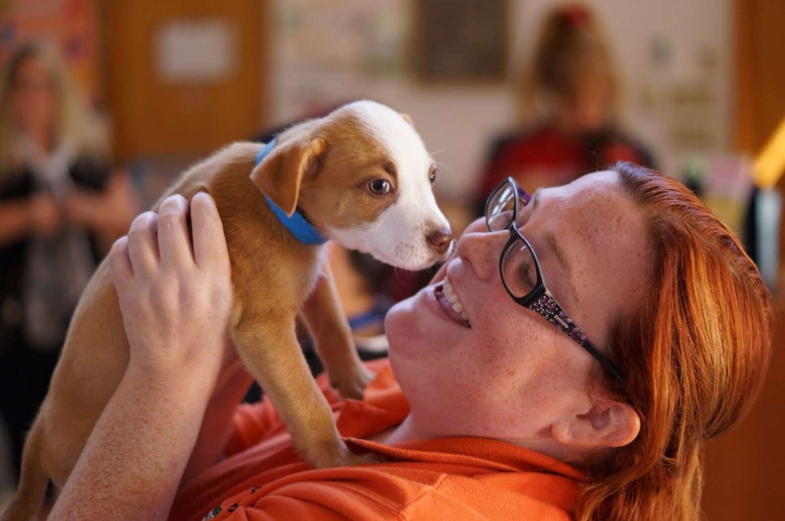 'Snuggle Delivery' Is The Best Thing To Happen To Humans — And Puppies ...