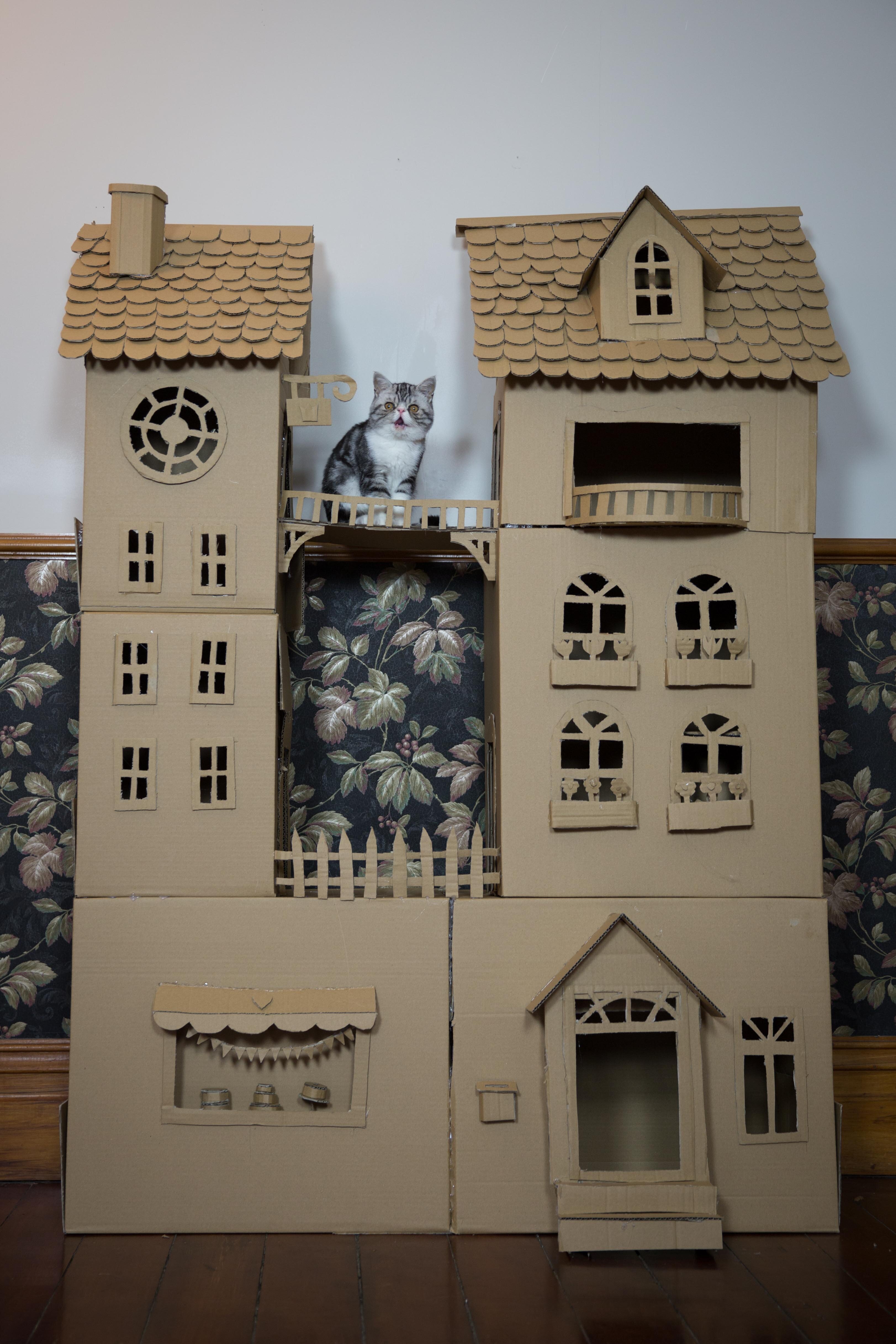 Woman Builds The Ultimate Palace For Her Cat - The Dodo