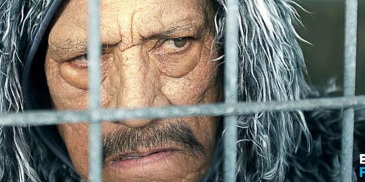 Danny Trejo Explains What Life's Like on the Streets for Homeless Cats ...