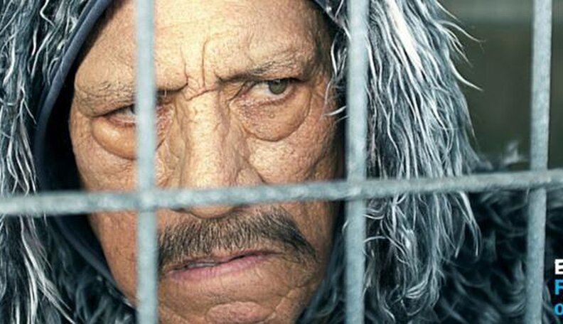 Danny Trejo Explains What Life's Like on the Streets for Homeless Cats ...
