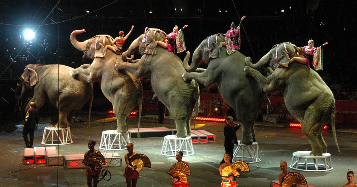 BREAKING: Ringling Bros. Circus Will Shut Down Forever - The Dodo