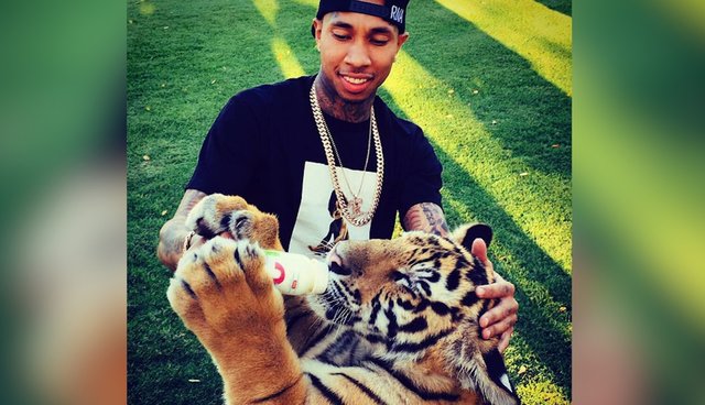 Rapper Tiger Tattoos