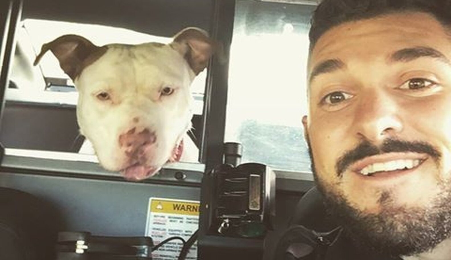 Police Officer Keeps Finding Lost Dogs And Bringing Them Home - The Dodo