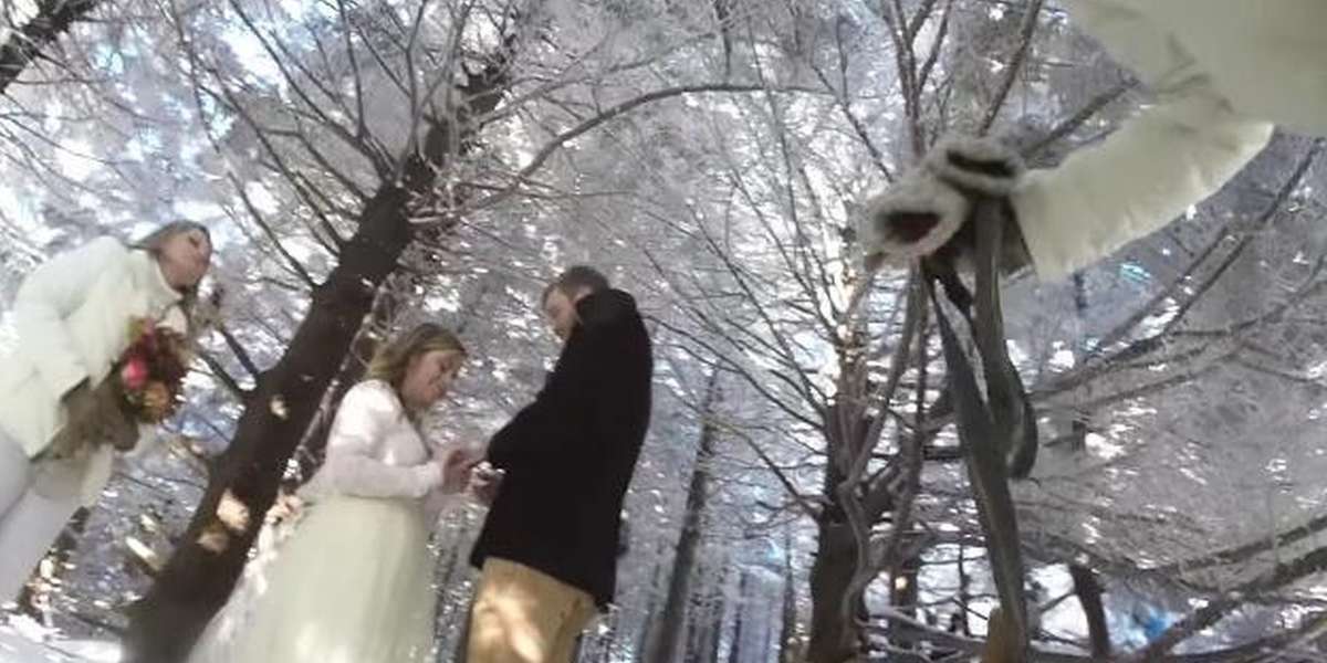Dog Films A Magical Wedding Video For Her Happy Owners - The Dodo