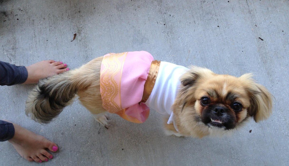 32 Lovable Underbites To Make You Smile - The Dodo