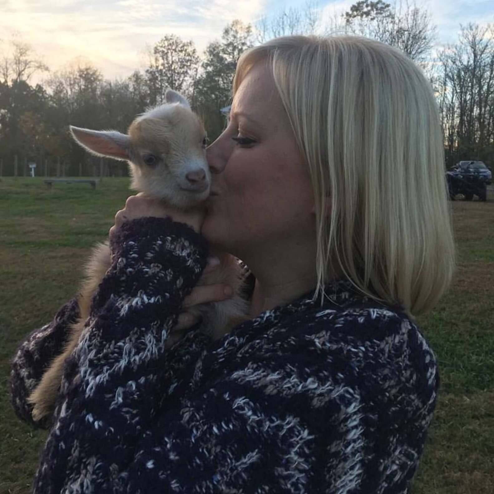 Goat Born Without Back Legs Finds The Perfect Mom To Raise Him - The Dodo