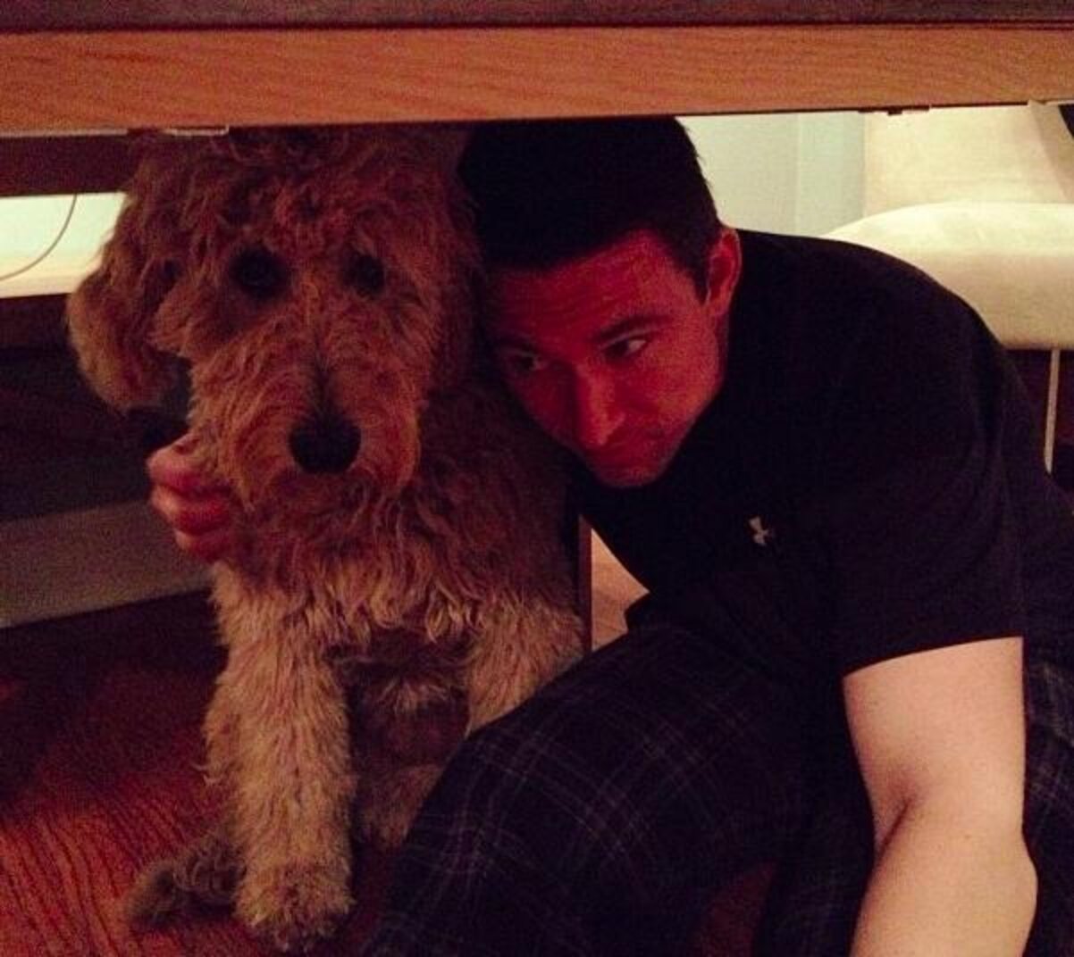 27 Dogs Who Really, Really Don't Like Thunder - The Dodo