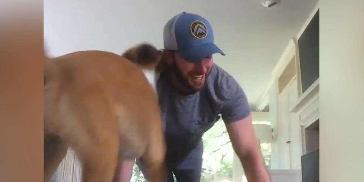 Dogs Help Their People Do The #22PushUpChallenge - The Dodo