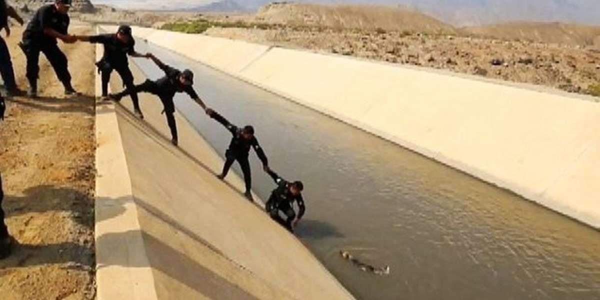 Police Form Human Chain To Save Puppy Trapped In Canal - The Dodo