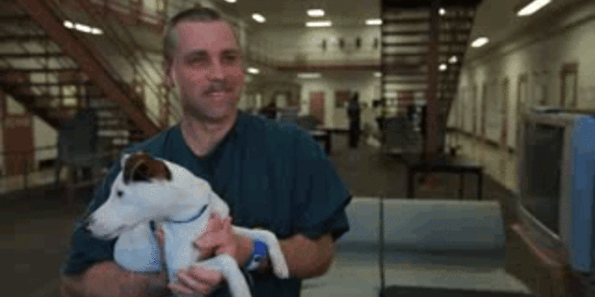 5 Inspiring Ways Animals Can Change The Lives Of Prison Inmates - The Dodo