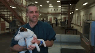 5 Inspiring Ways Animals Can Change The Lives Of Prison Inmates - The Dodo