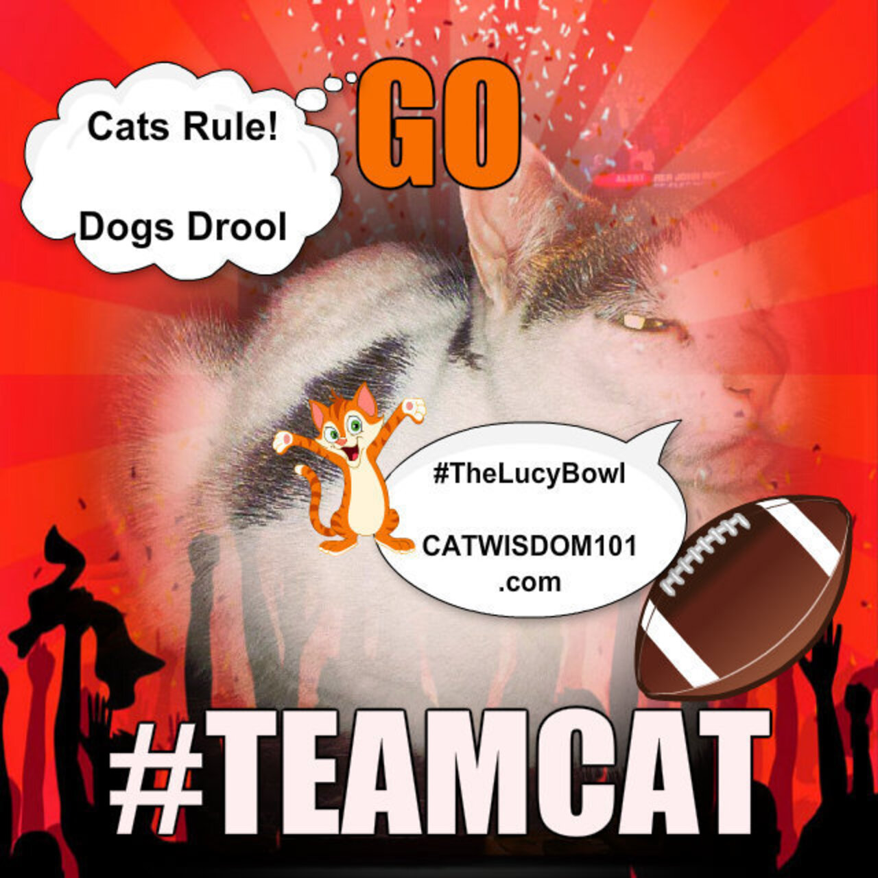 Exclusive #Teamcat Pics From Kitten Bowl - The Dodo