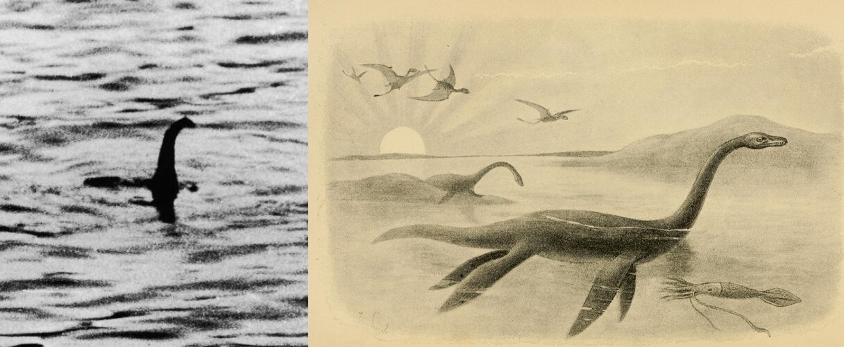 8 Mythical Creatures Who May Have Actually Been Based On Real Animals ...