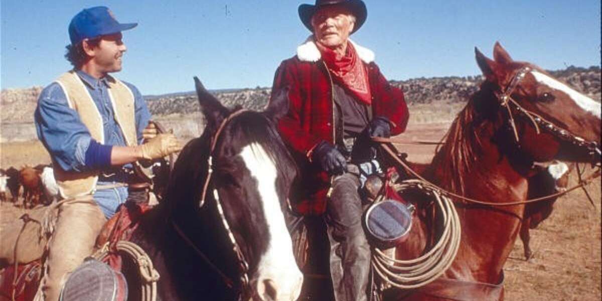 5 Movies You Didn’t Know Were About Animal Rights - The Dodo