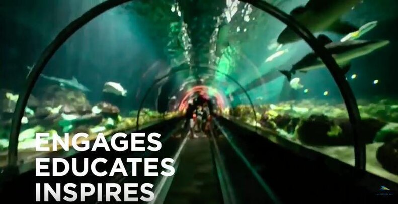 SeaWorld Announces New Middle East Park Will Be First With No Orcas ...