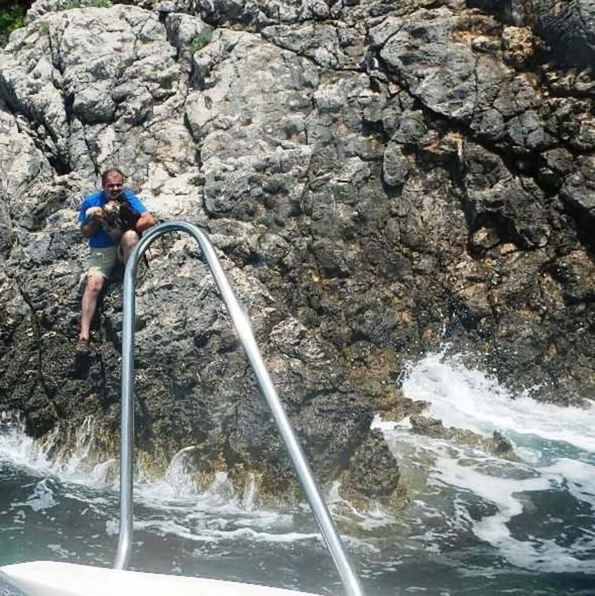 Stranded, Weak Birds Get A Second Chance Thanks To Fearless Rescuers ...