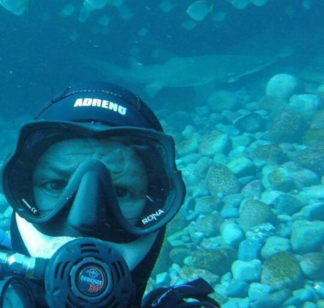 Shark Swims Up To Diver For a Cuddle Every Time She Sees Him - The Dodo