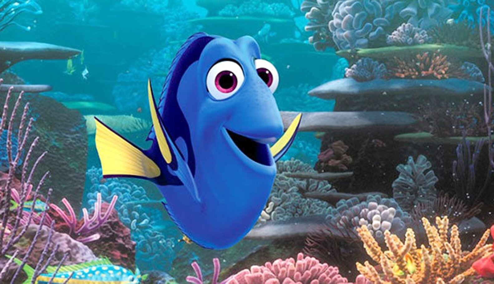 The "Blackfish" Effect: Pixar Frees Marine Park Animals In Nemo Sequel ...