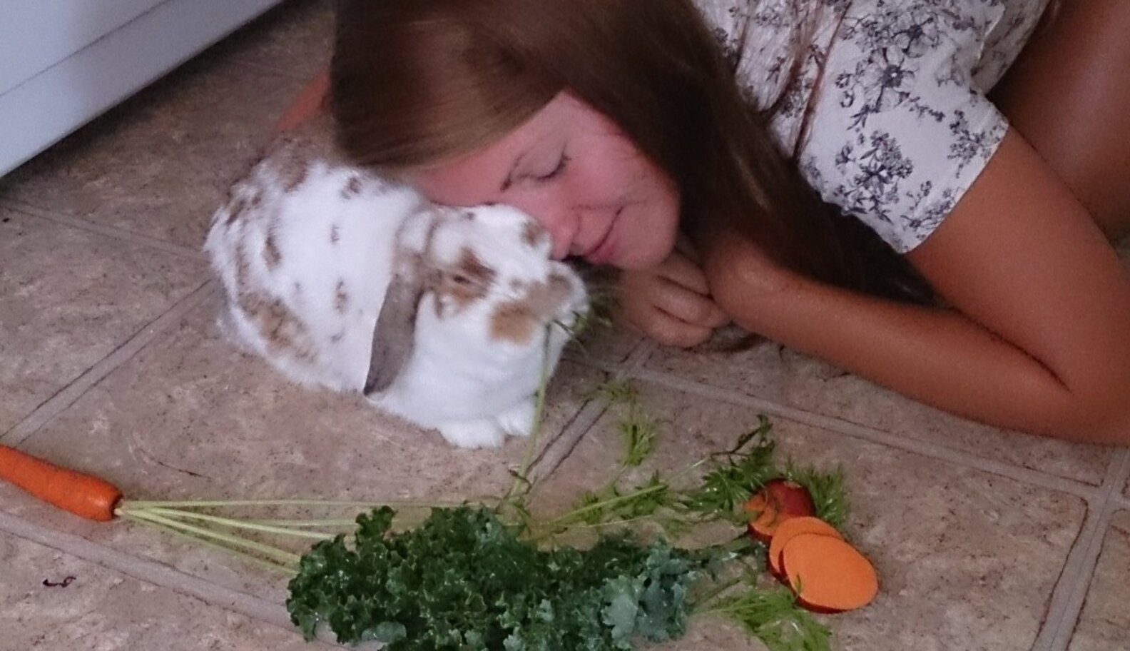 A Rabbit's Tail: Facial Abscesses and Treatment for the Death Sentence ...